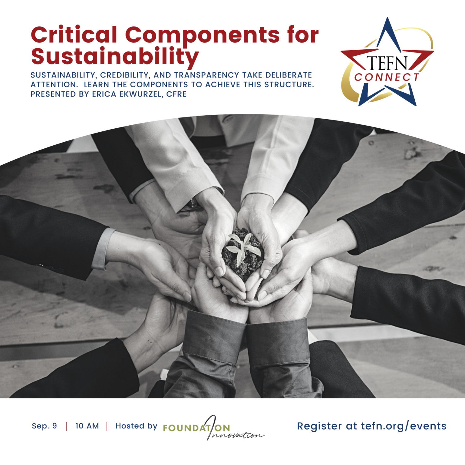 Critical Components for Sustainability - Texas Education Foundation ...